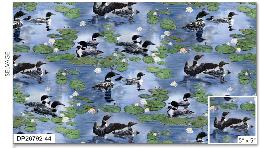 Still Waters : Loons| The Bobbin Robin Shop